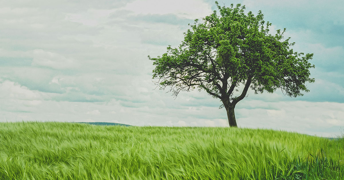 Podcast: Jean's Story - Naturally Thin Naturally Thin | Anti Diet ...